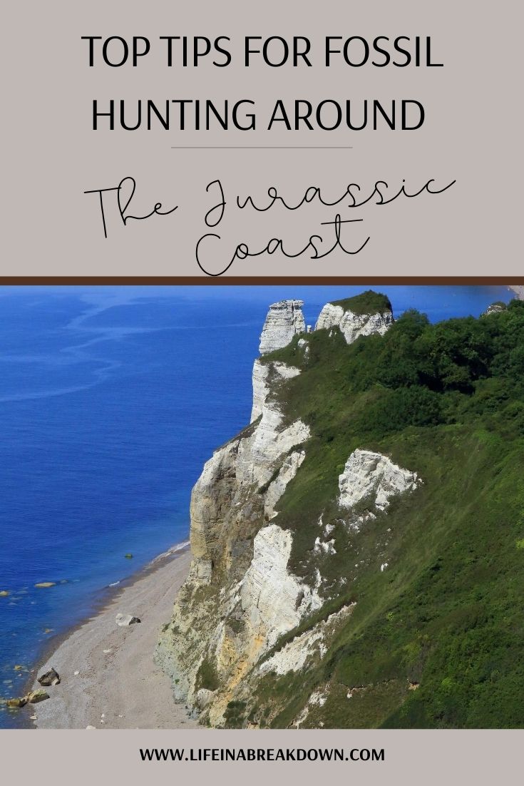 Jurassic Coast Fossil Hunting Tips - Life in a Break Down
